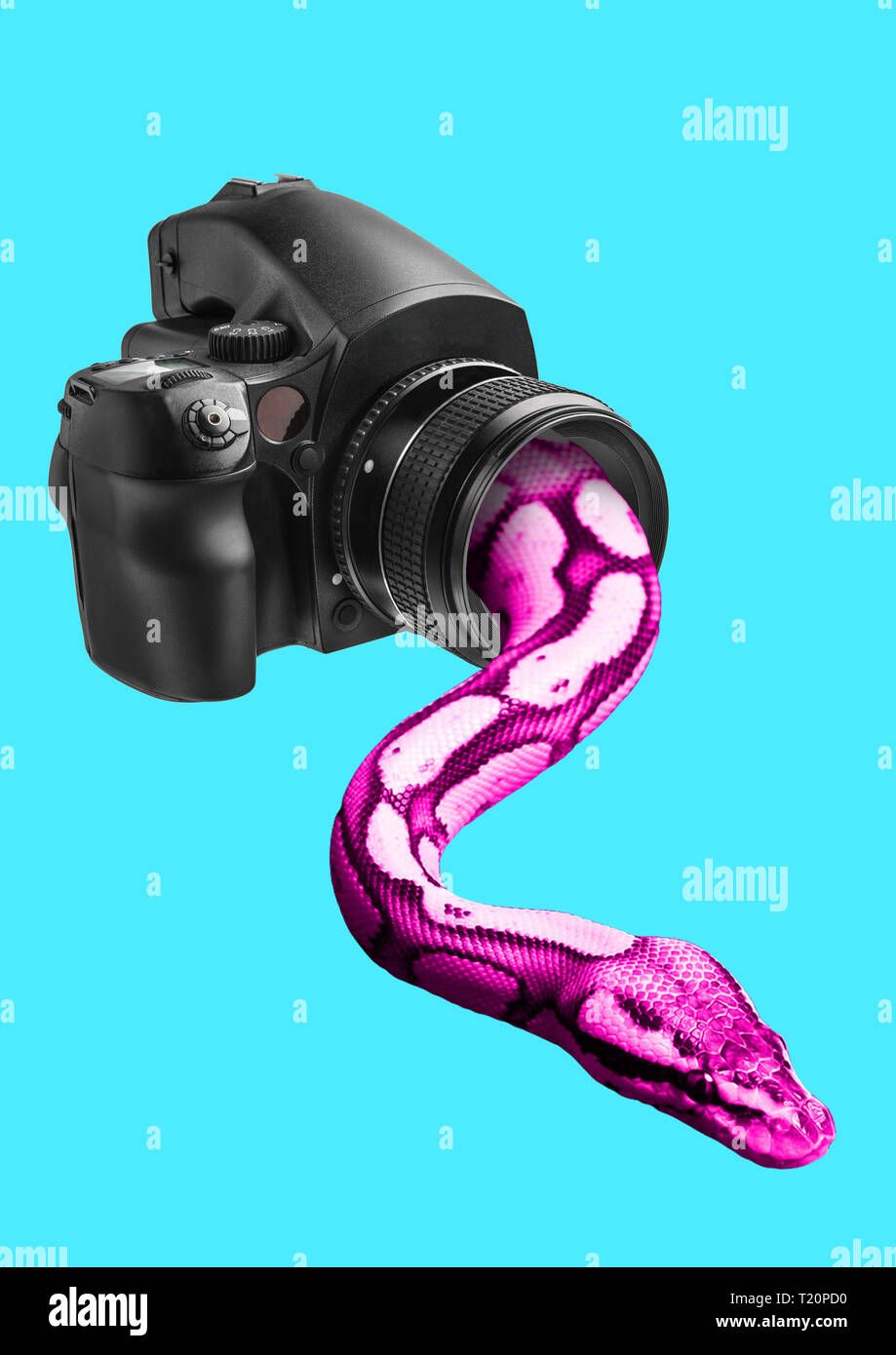 A dangerous photography or filming. Camera with the crawling bright ...