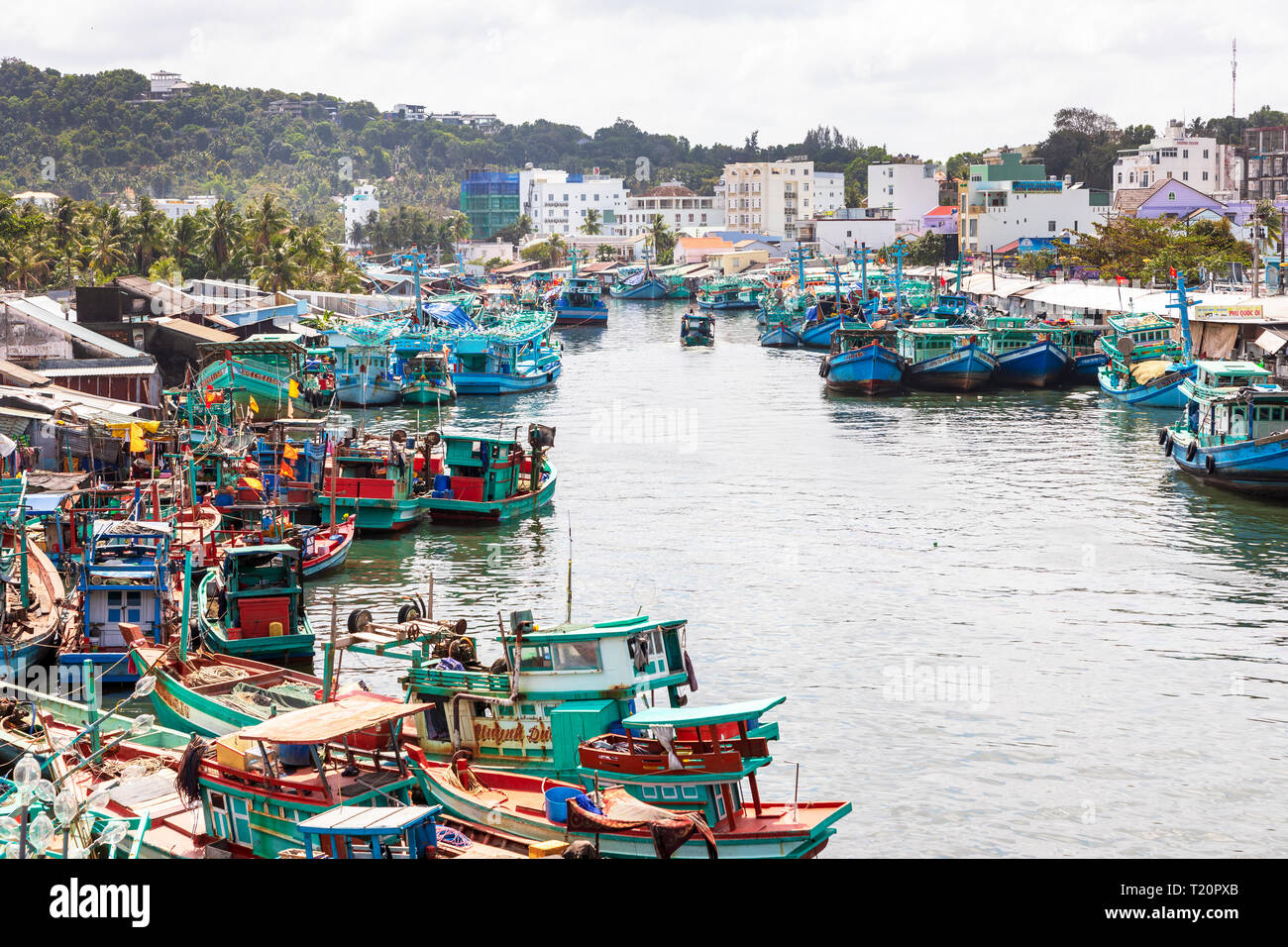 Traditional Vietnamese fishing boats tied up at the harbour at Dinh Cau ...