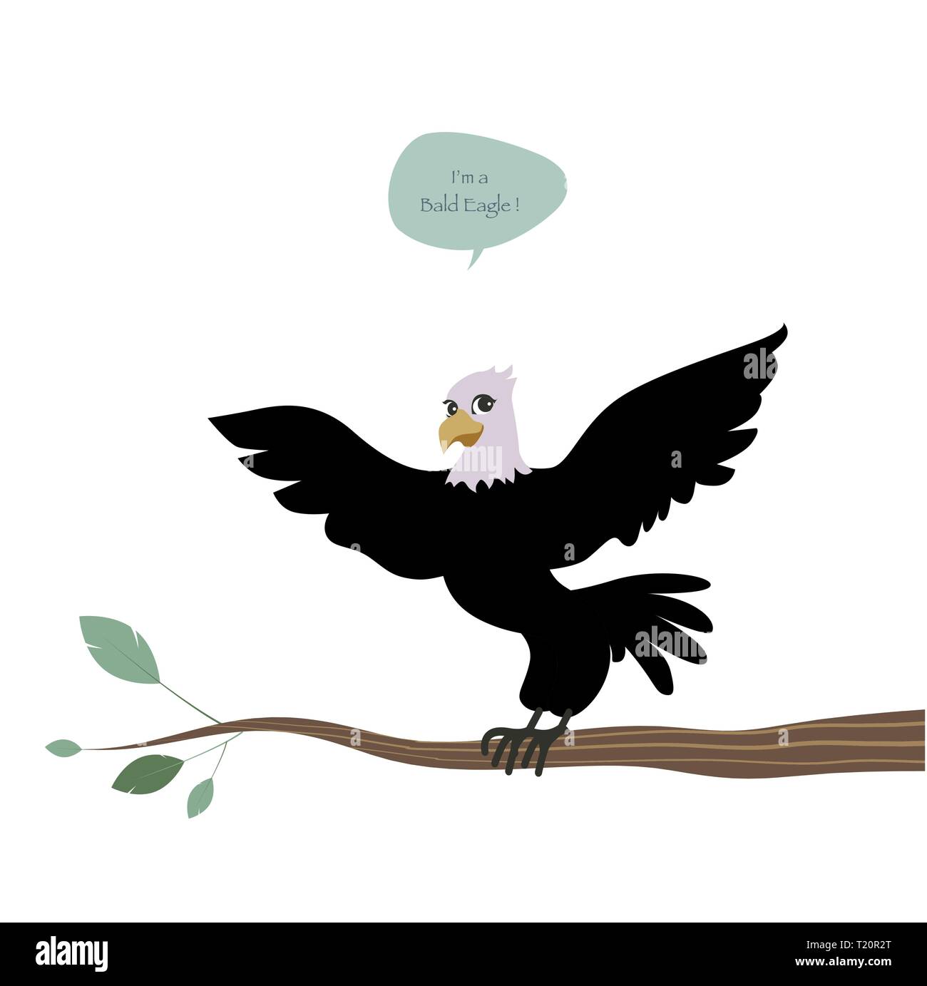 Bald eagle on branch Stock Vector Images - Alamy