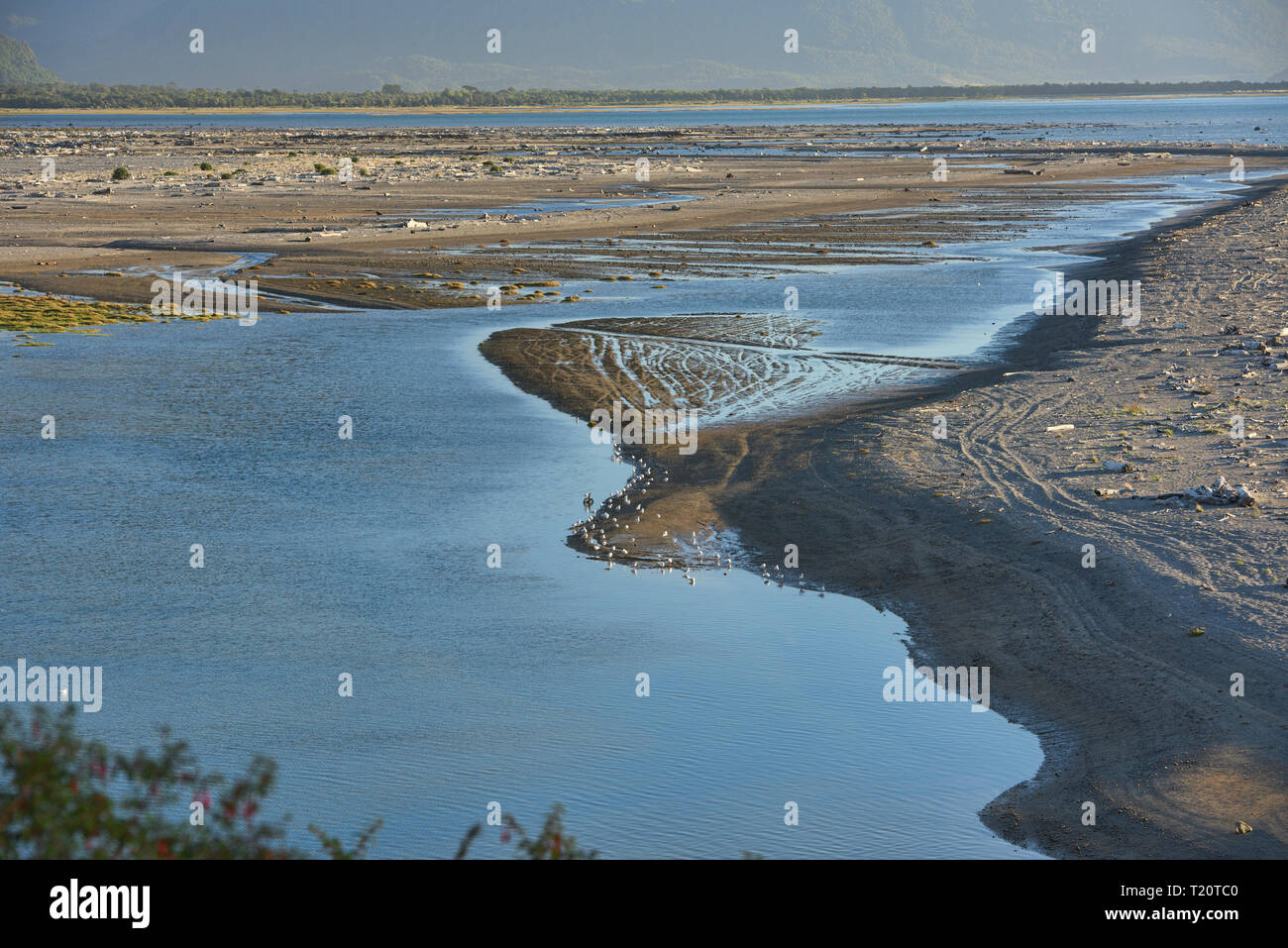 Gulf of corcovado hi-res stock photography and images - Alamy