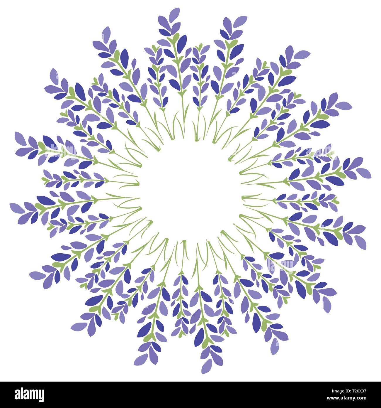 Lavender flower star on white background Stock Vector Image & Art - Alamy