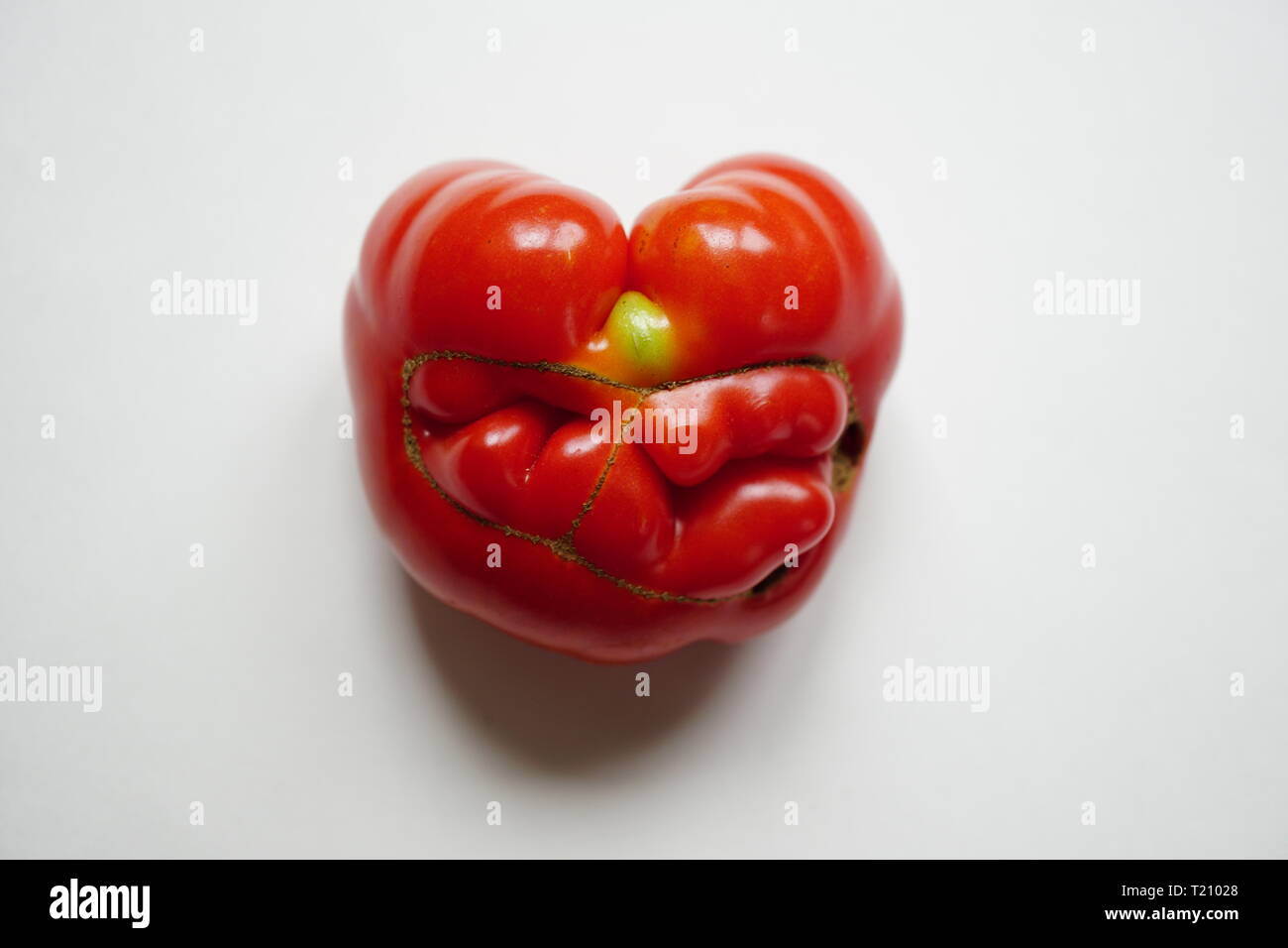 Underside of Costoluto Genovese tomato (Italian tomato Stock Photo - Alamy