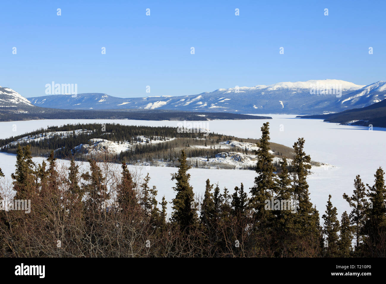 Bove Island, Windy Arm, Tagish Lake, Yukon Stock Photo - Alamy