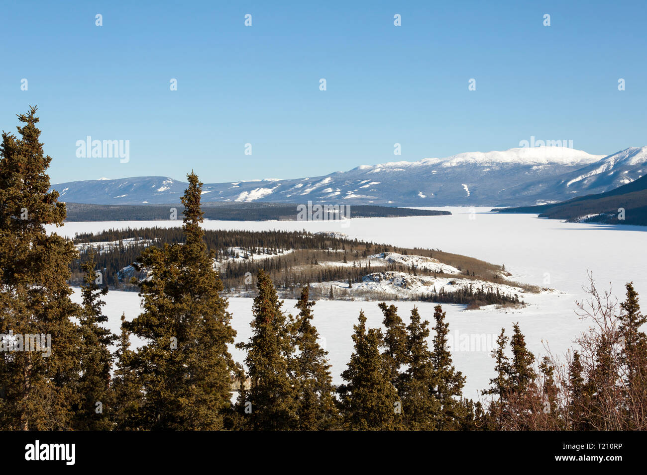 Tagish yukon hi-res stock photography and images - Alamy