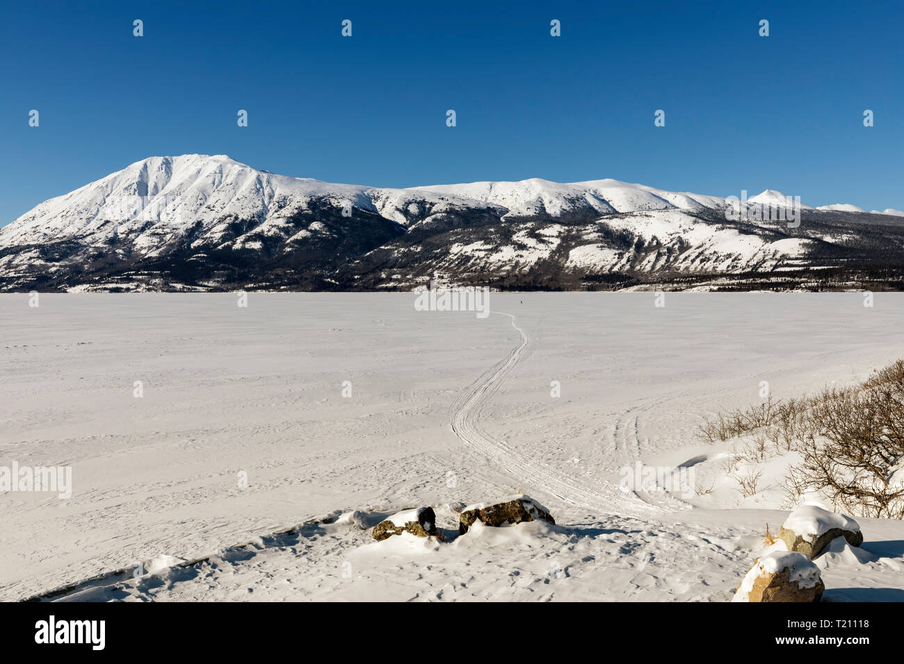 Bennett lake bennett hi-res stock photography and images - Alamy