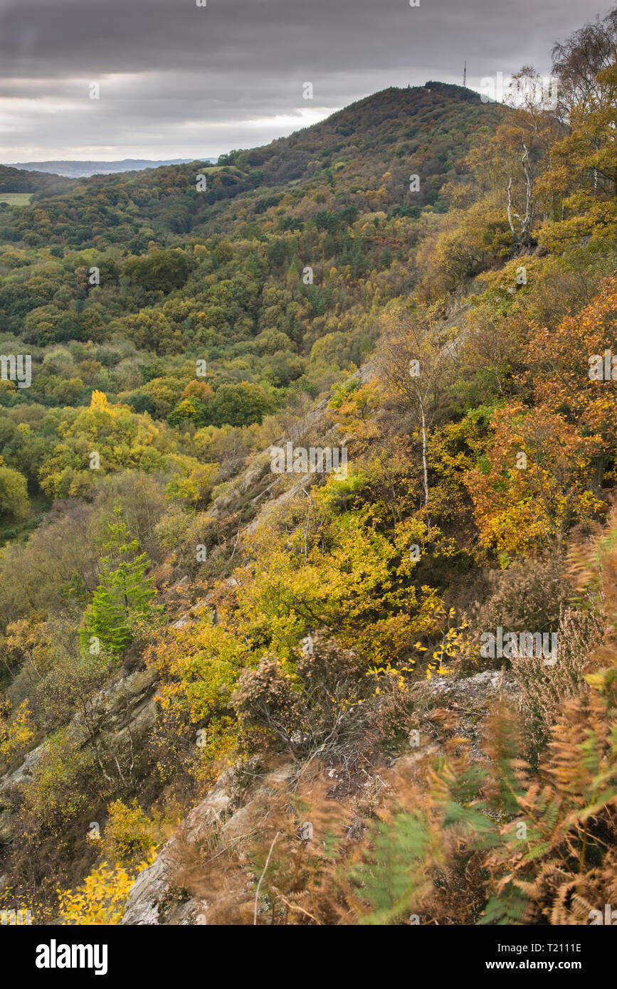 Woodland on The Ercall and around Ercall Quarry beside The Wrekin ...