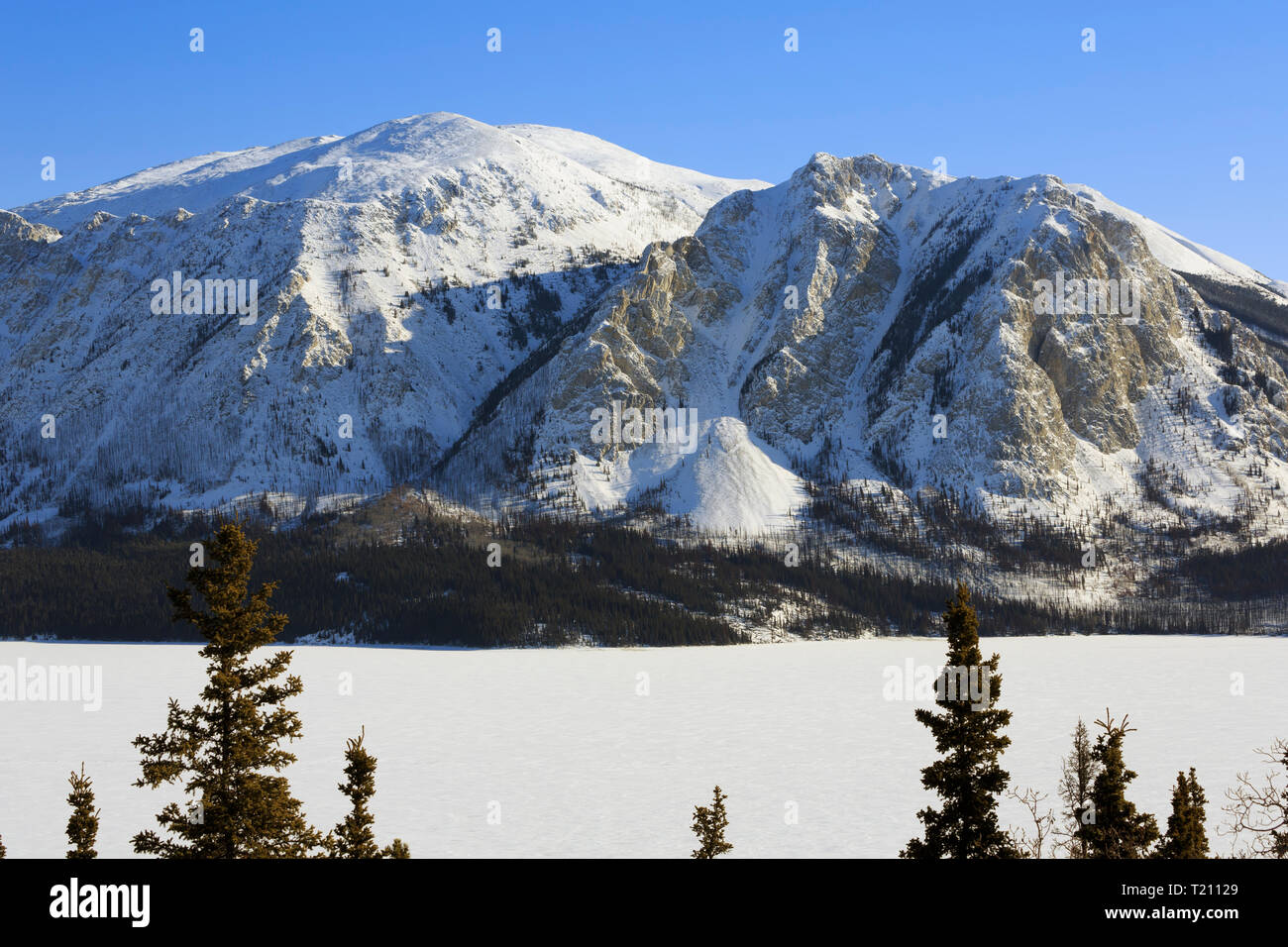 Windy arm hi-res stock photography and images - Alamy