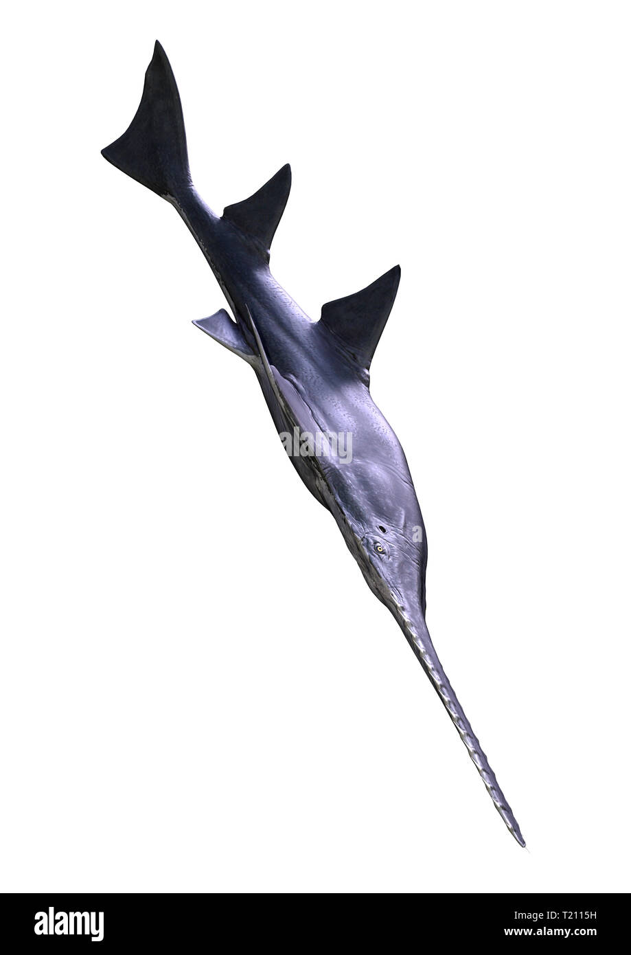 3D rendering of an Onchopristis, a genus of extinct giant ...