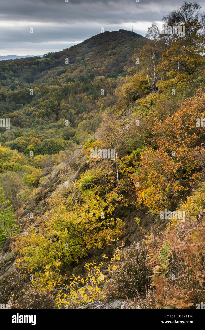 Woodland on The Ercall and around Ercall Quarry beside The Wrekin ...