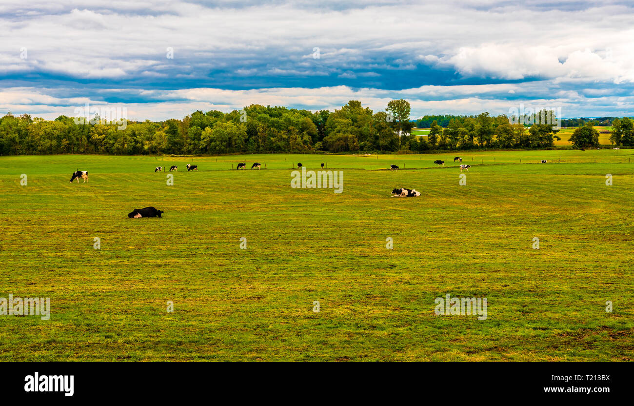New york state agriculture hi-res stock photography and images - Alamy