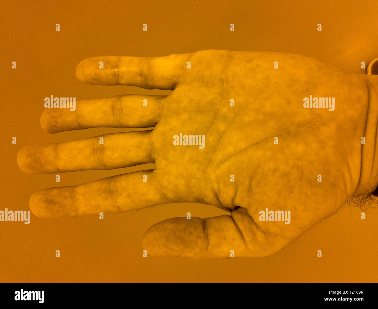 Inside of an ope male hand in yellow light Stock Photo - Alamy