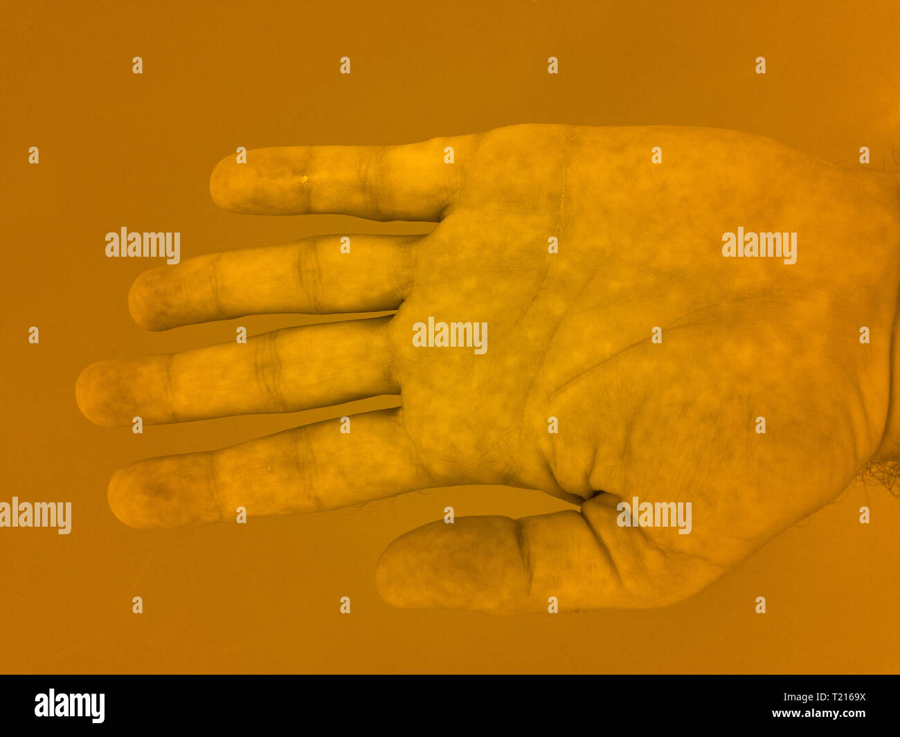 Male left hand five hi-res stock photography and images - Alamy