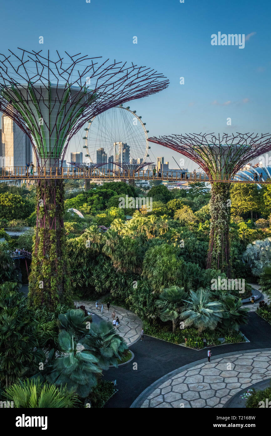 Supertree grove singapore aerial hi-res stock photography and images ...