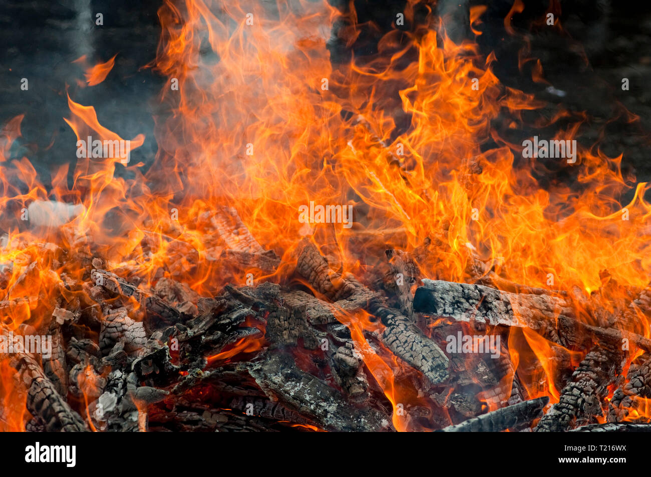 Fire High Resolution Hq