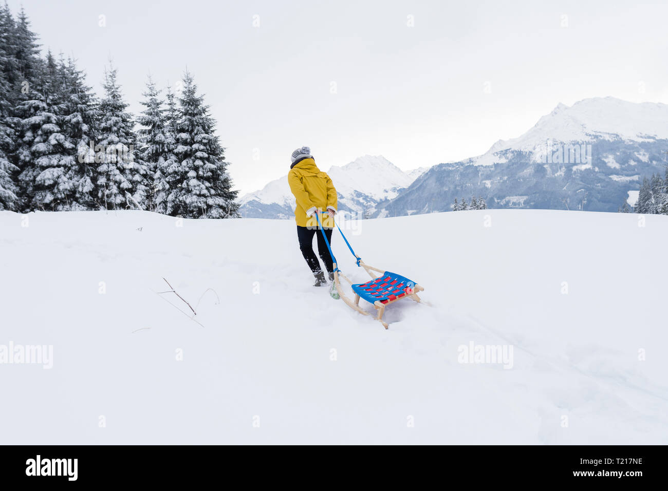Austria, Tyrol, Thurn, back view of woman pulling sledge in snow ...