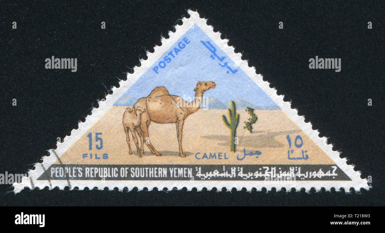 YEMEN - CIRCA 1970: stamp printed by Yemen, shows Camel and Calf, circa ...