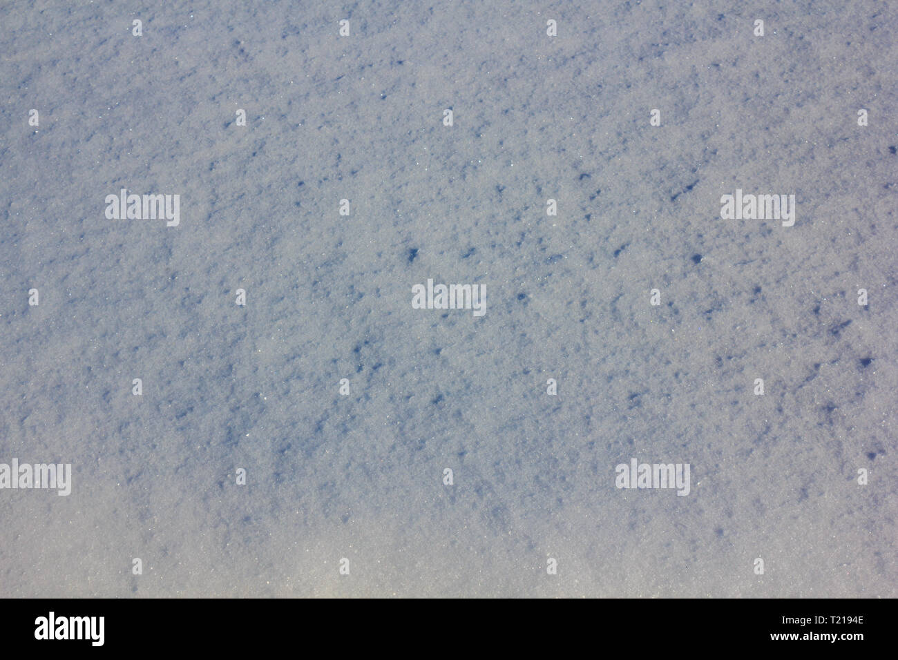 Texture of snow compressed by the wind. Snow texture Snow weathered ...