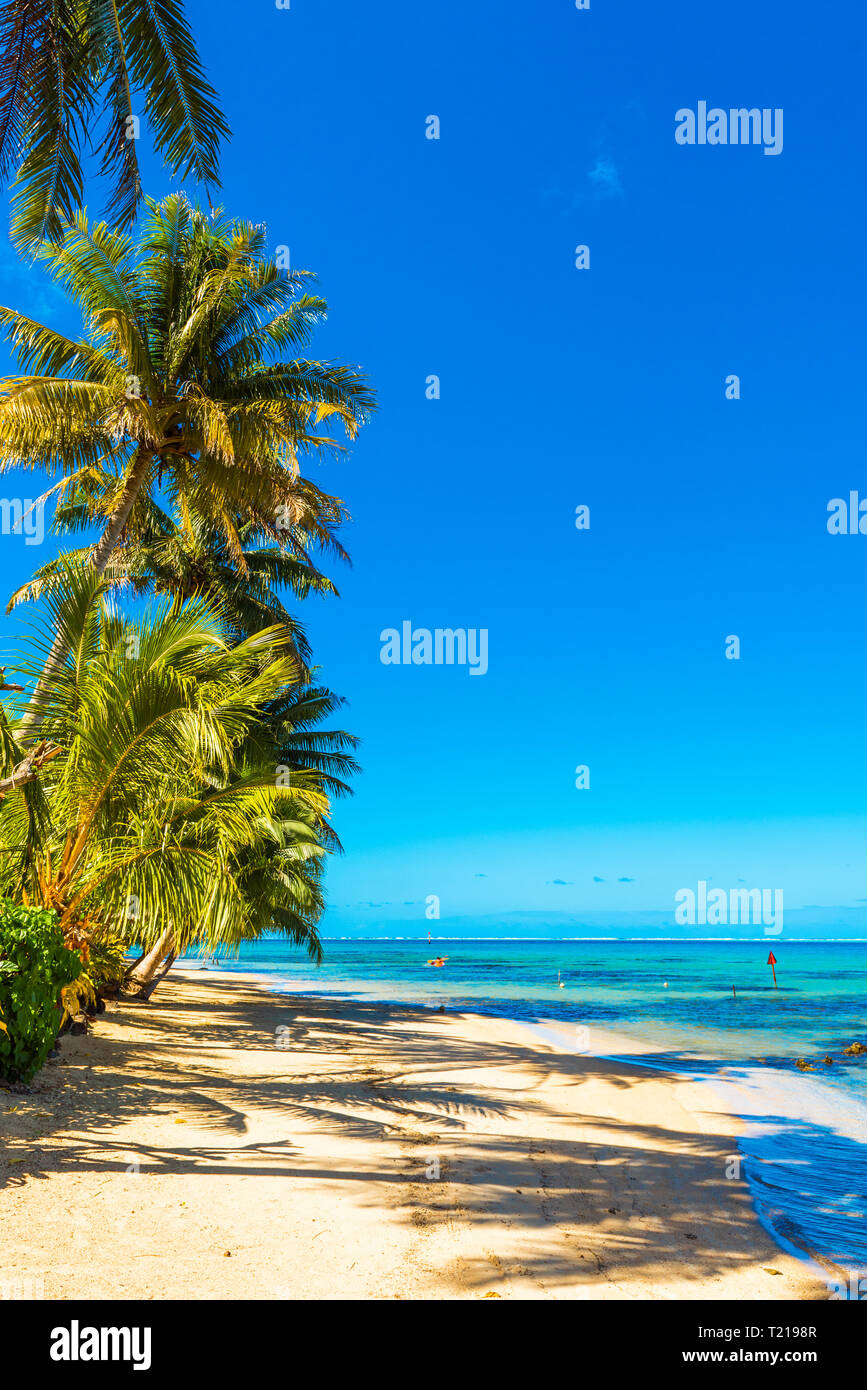 View of the sandy beach in the lagoon Huahine, French Polynesia ...