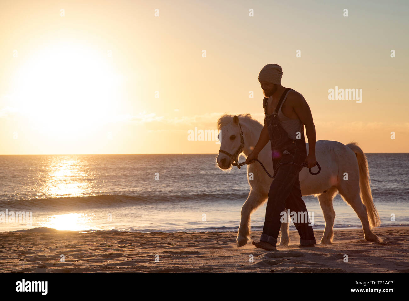 Man walking pony beach sunset hi-res stock photography and images - Alamy