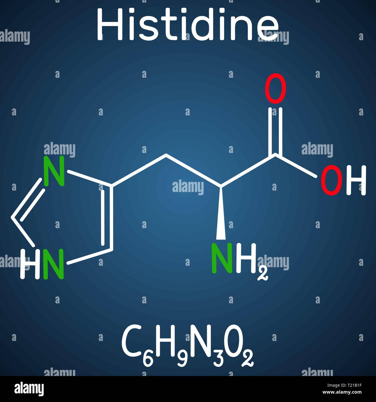Histidine (L- histidine, His, H) amino acid molecule. It is used in the ...