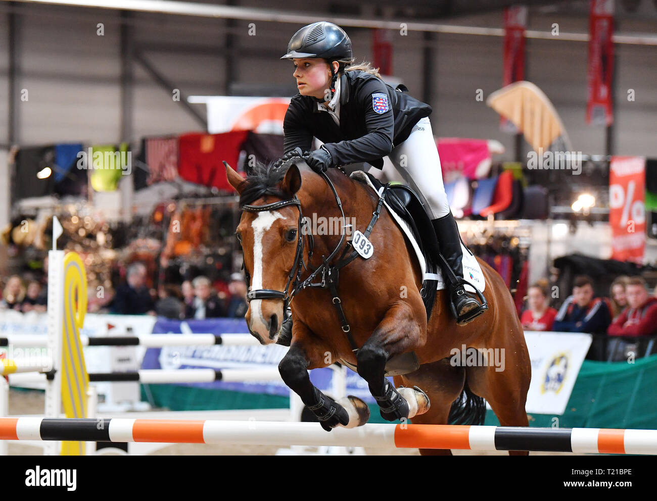 Time test horse hi-res stock photography and images - Alamy