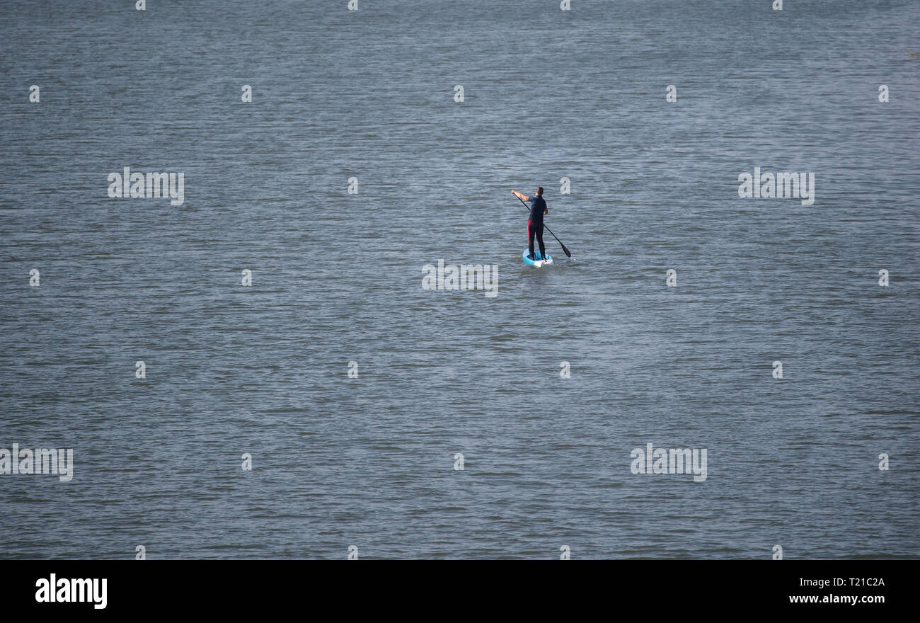 29 March 2019, Baden-Wuerttemberg, Stuttgart: A man drives on the ...