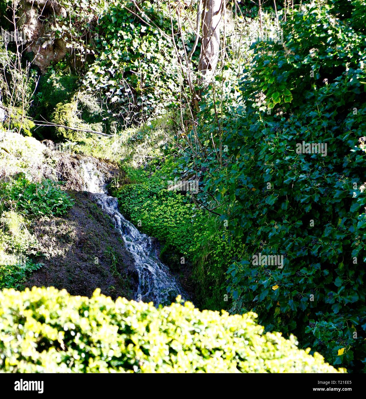 Dyserth waterfall hi-res stock photography and images - Alamy