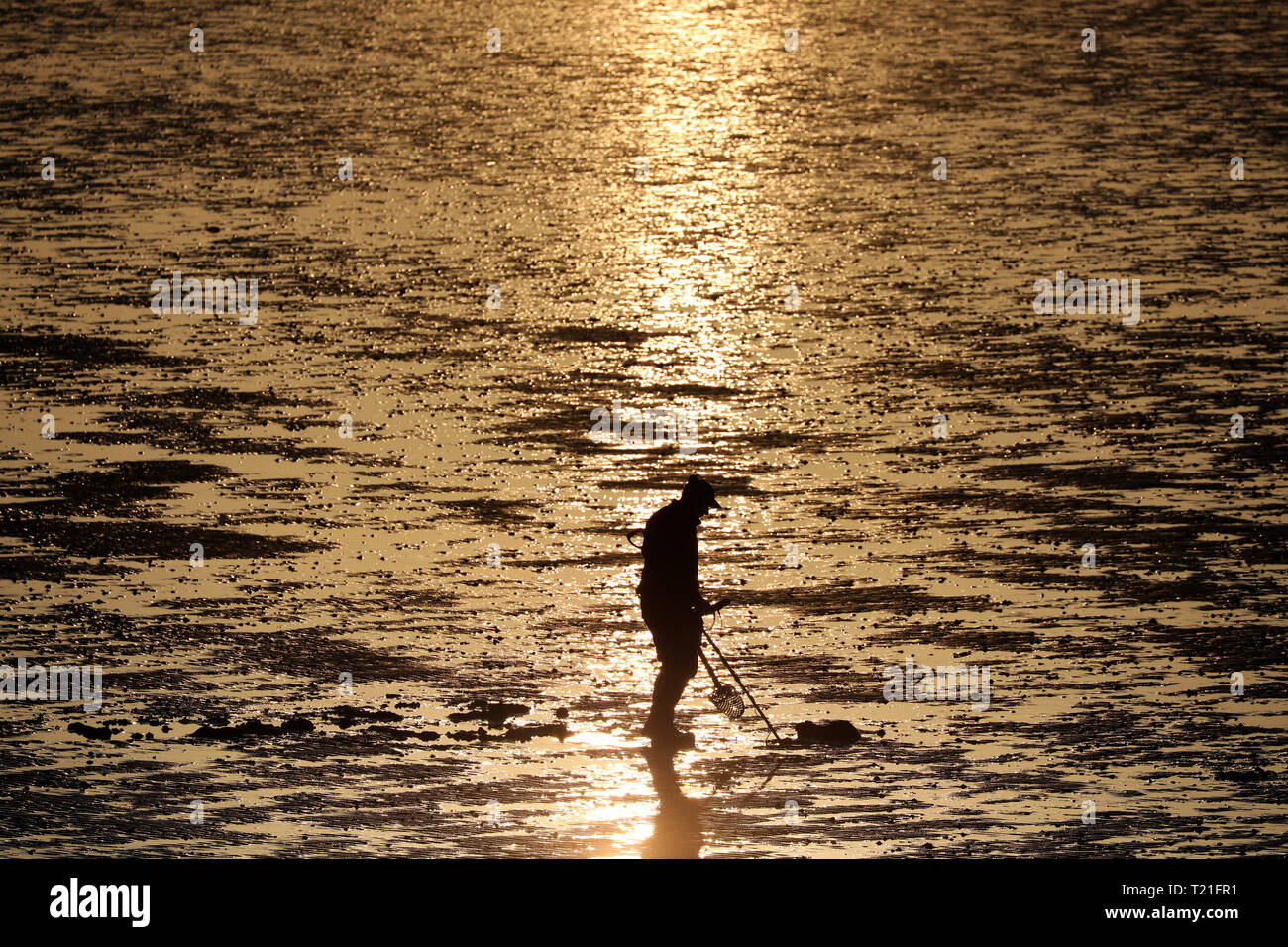 Heacham, UK. 28th Mar, 2019. A detectorist at low tide just before ...