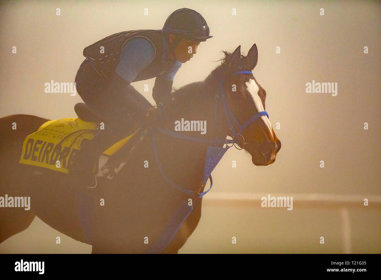 Deirdre horse hi-res stock photography and images - Alamy
