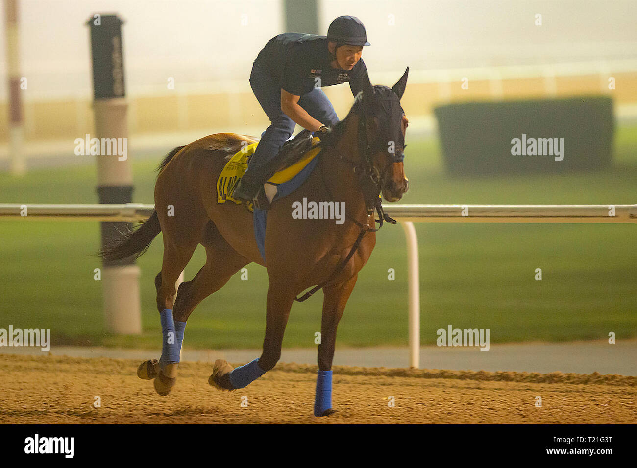 Meydan, Dubai, USA. 29th Mar, 2019. DUBAI, UNITED ARAB EMIRATES-MARCH ...