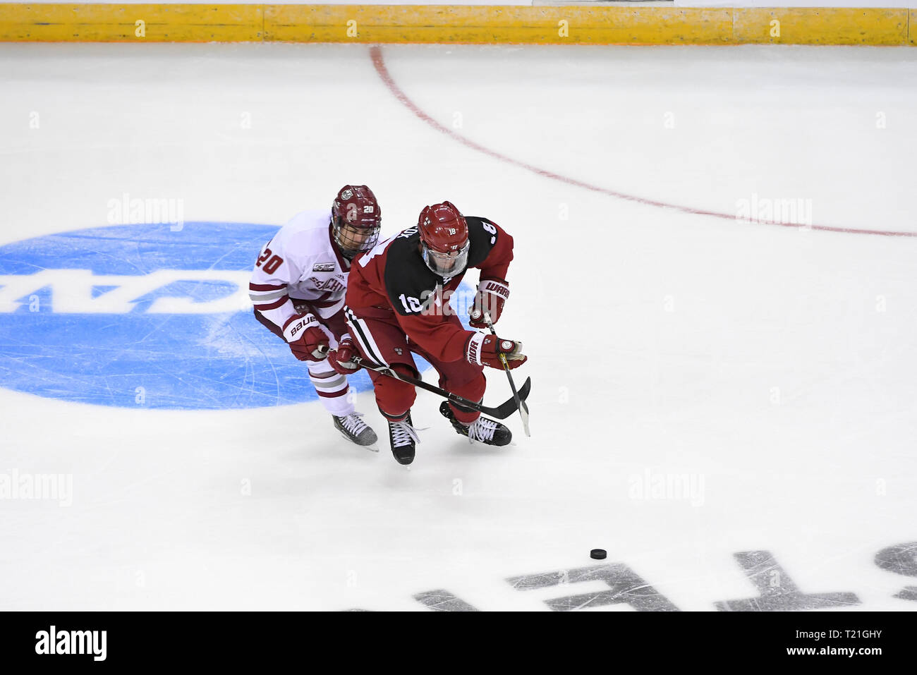 Adam fox harvard hi-res stock photography and images - Alamy