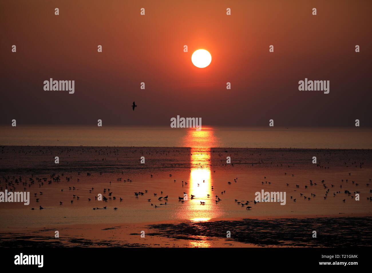 Heacham, UK. 29th Mar, 2019. Birds are silhouetted against a beautiful ...