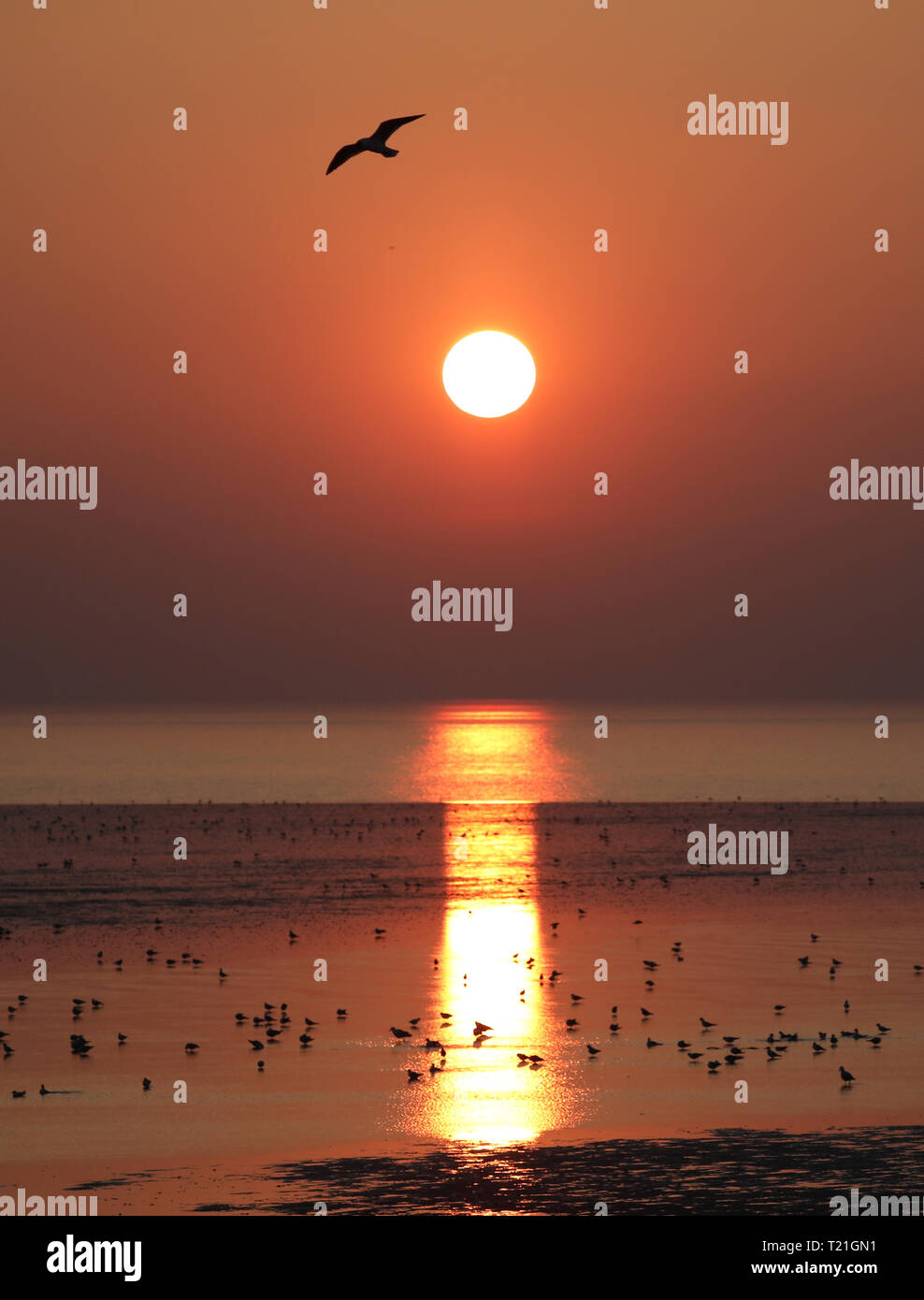Heacham, UK. 29th Mar, 2019. Birds are silhouetted against a beautiful ...