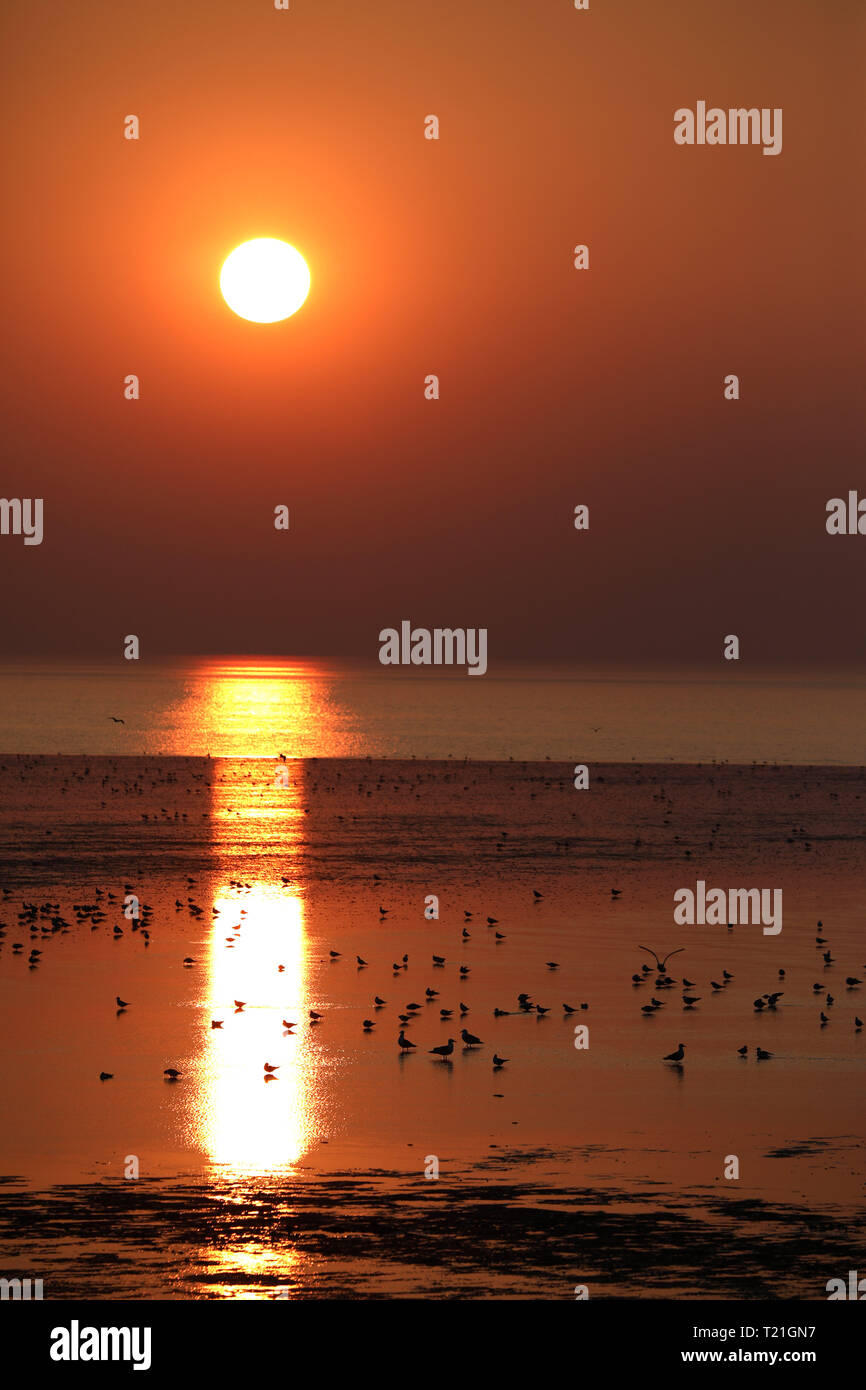 Heacham, UK. 29th Mar, 2019. Birds are silhouetted against a beautiful ...