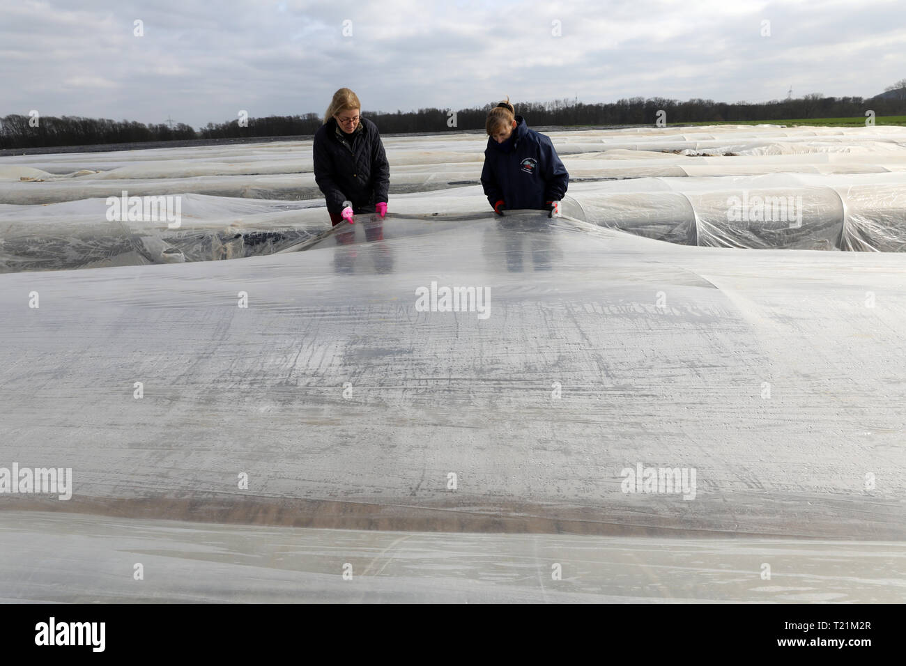 Laer effect hi-res stock photography and images - Alamy