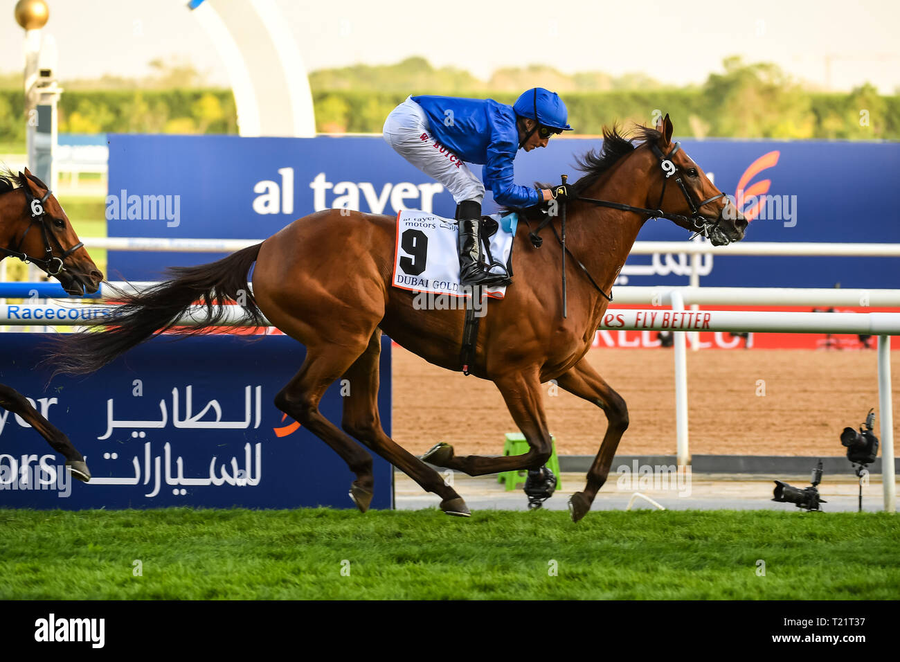 Arabian horse cross hi-res stock photography and images - Alamy