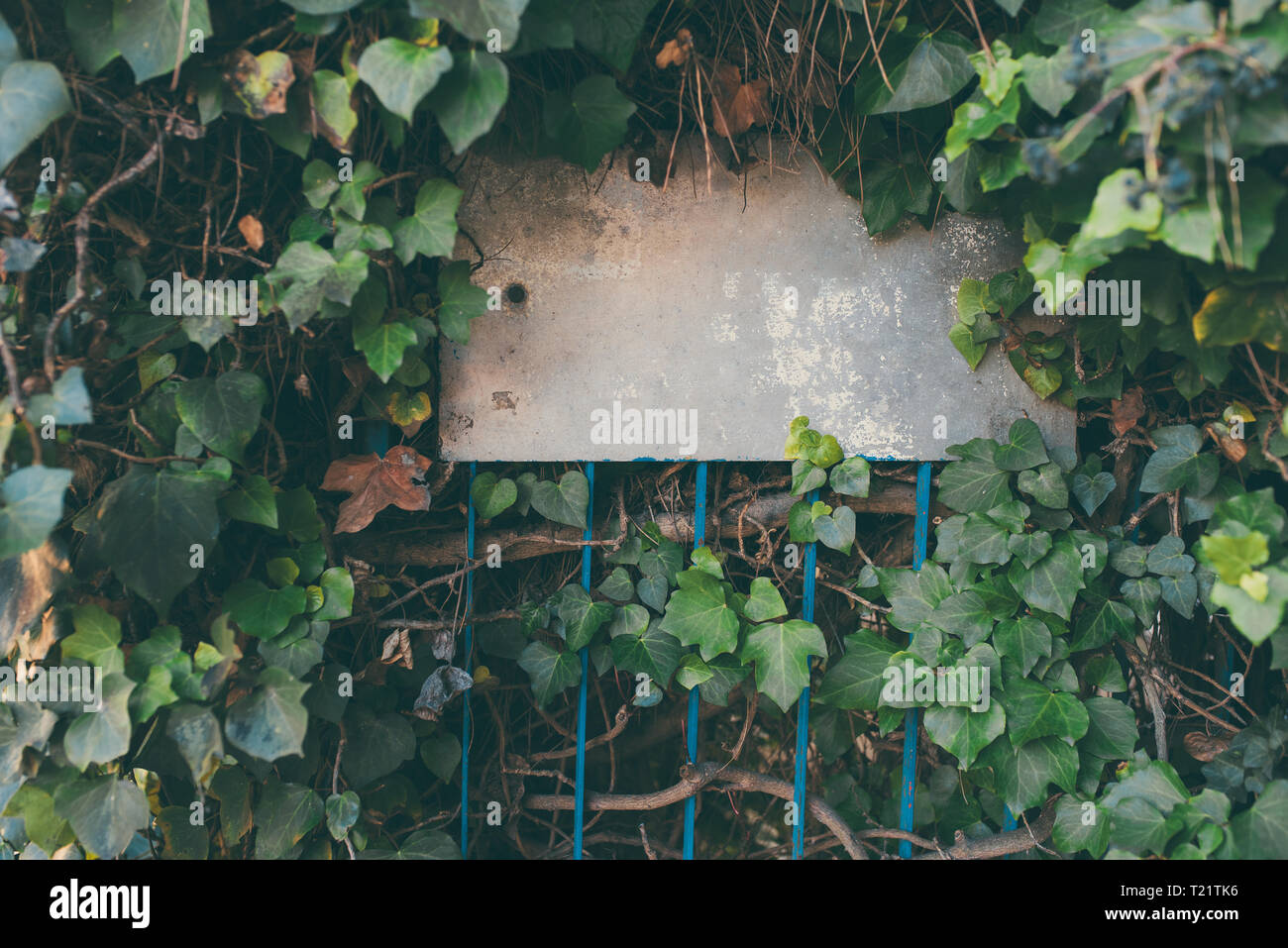 Blank sign in a hedge hi-res stock photography and images - Alamy