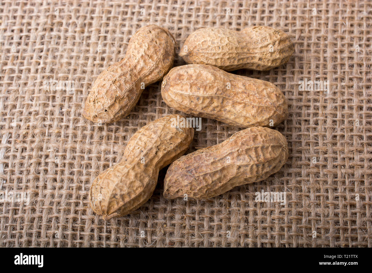Peanuts with shell on linen canvas background Stock Photo - Alamy
