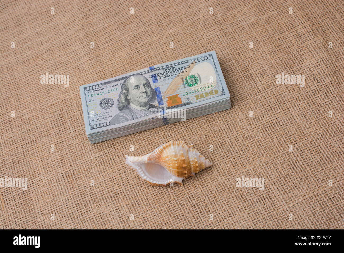 Sea shell placed on bundle of US dollar banknotes Stock Photo - Alamy