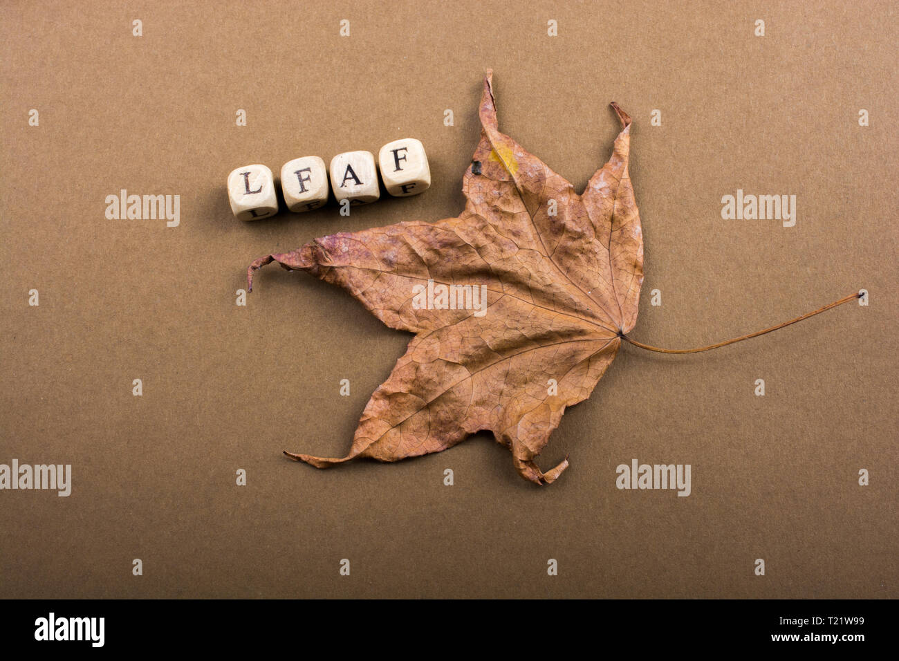 Brown color dry leaf and leaf wording with letter cubes Stock Photo - Alamy