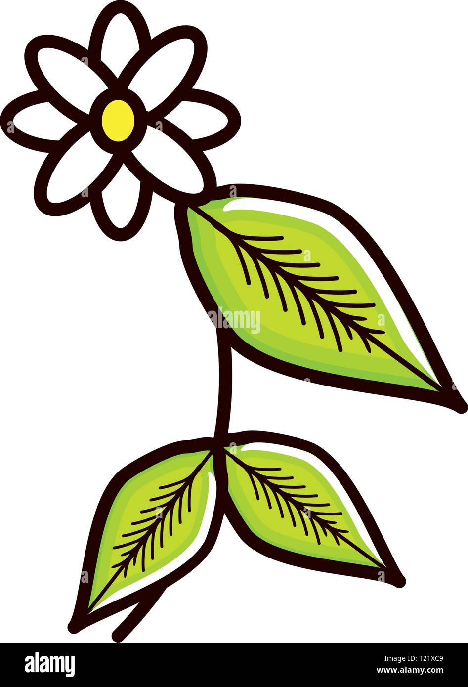 flower chamomile tea nature isolated icon vector illustration design ...