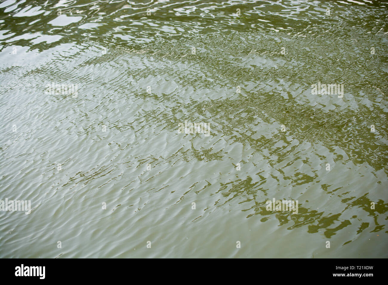 Water surface texture useful as a background Stock Photo - Alamy