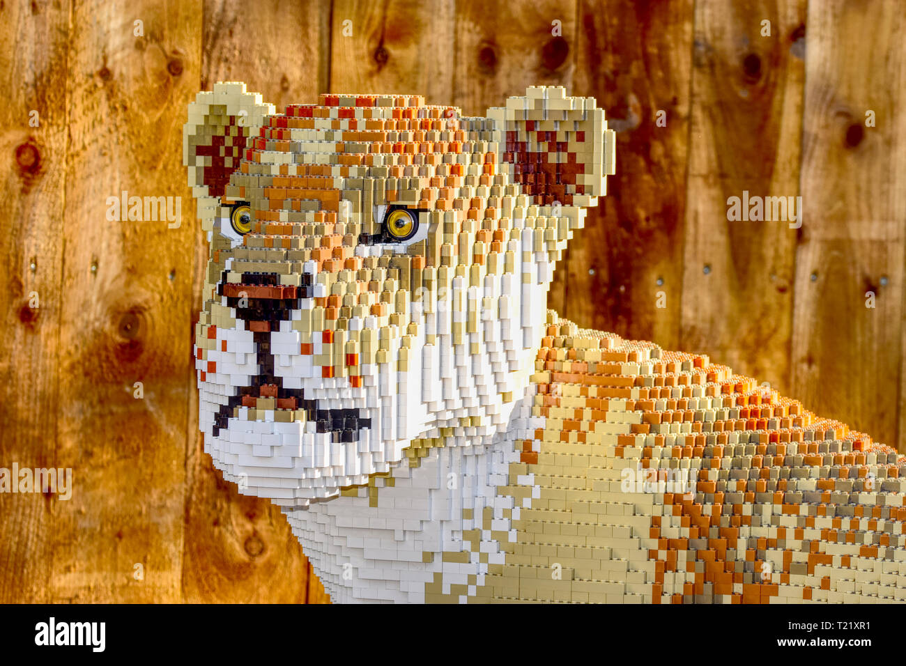 Zoo lego hi-res stock photography and images - Alamy