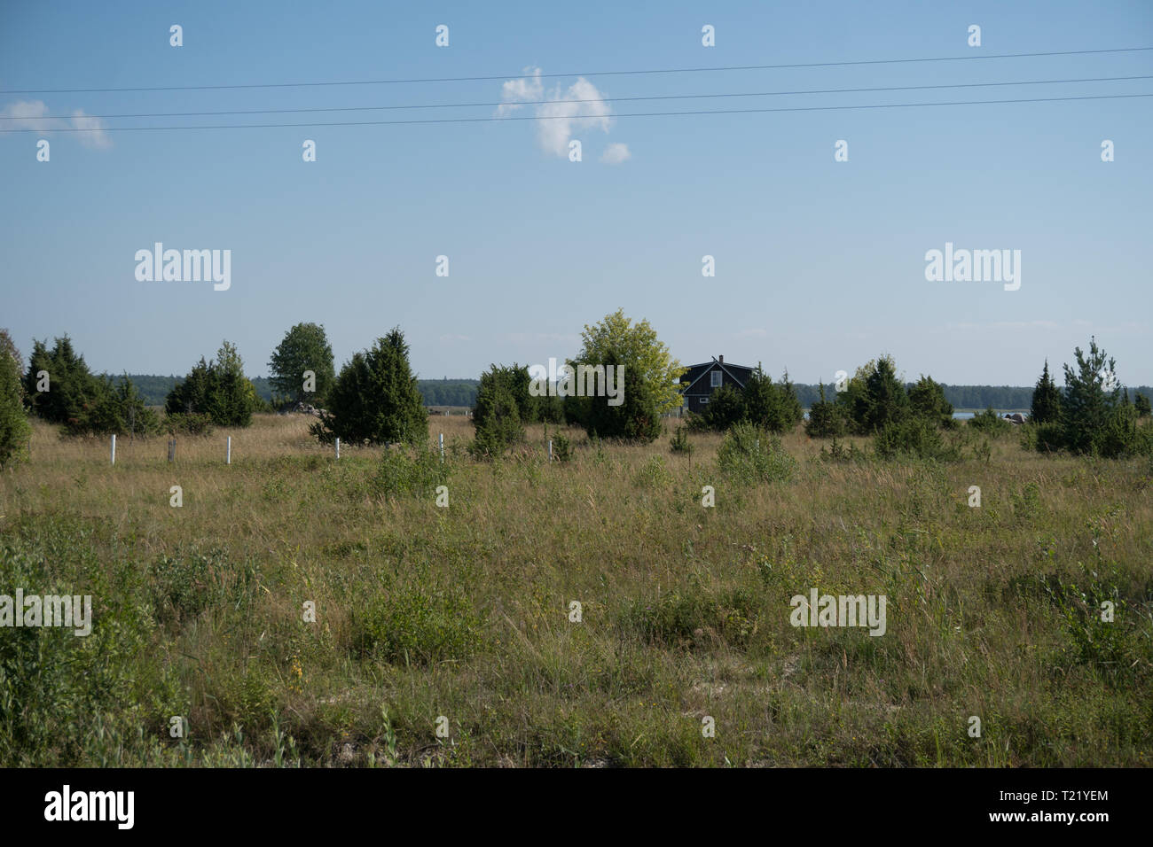 Rural house surrounded by trees Stock Photo - Alamy
