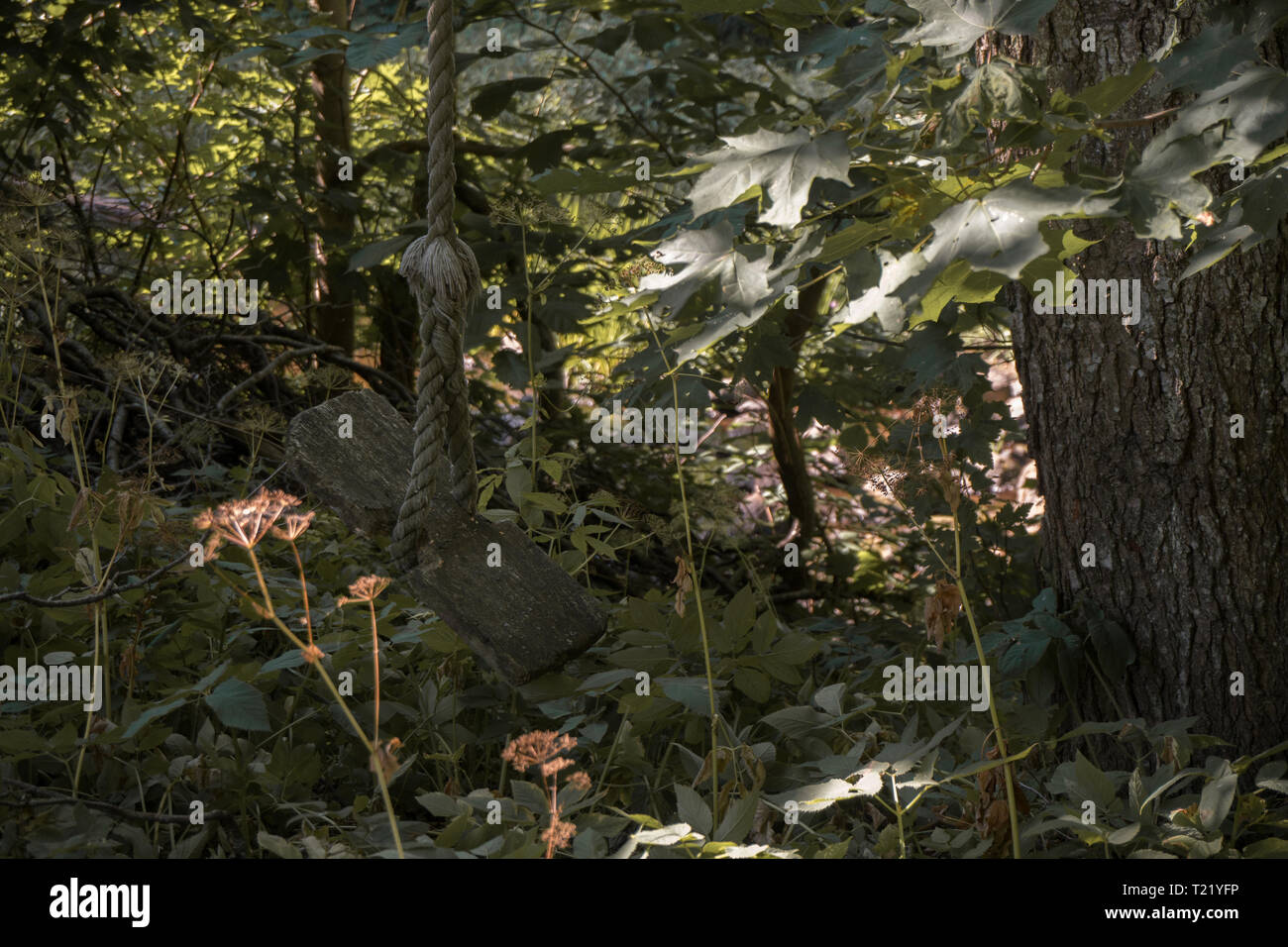 Old swing from rope hi-res stock photography and images - Alamy