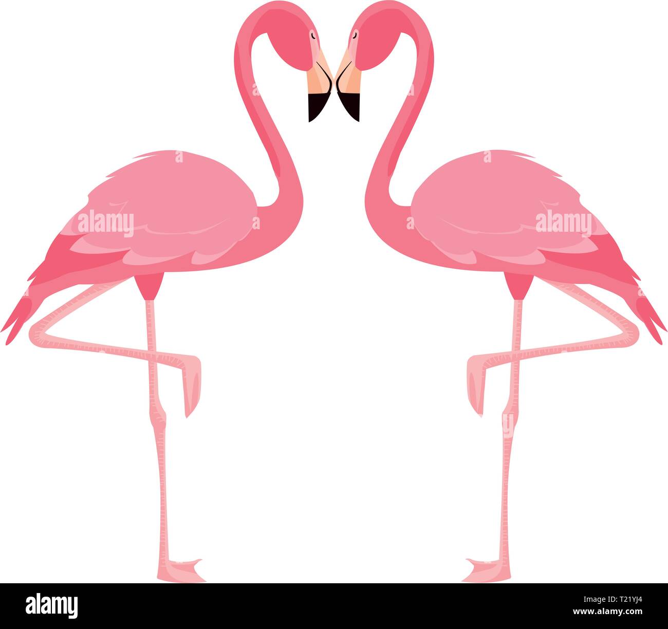 elegant flamingo birds couple vector illustration design Stock Vector ...