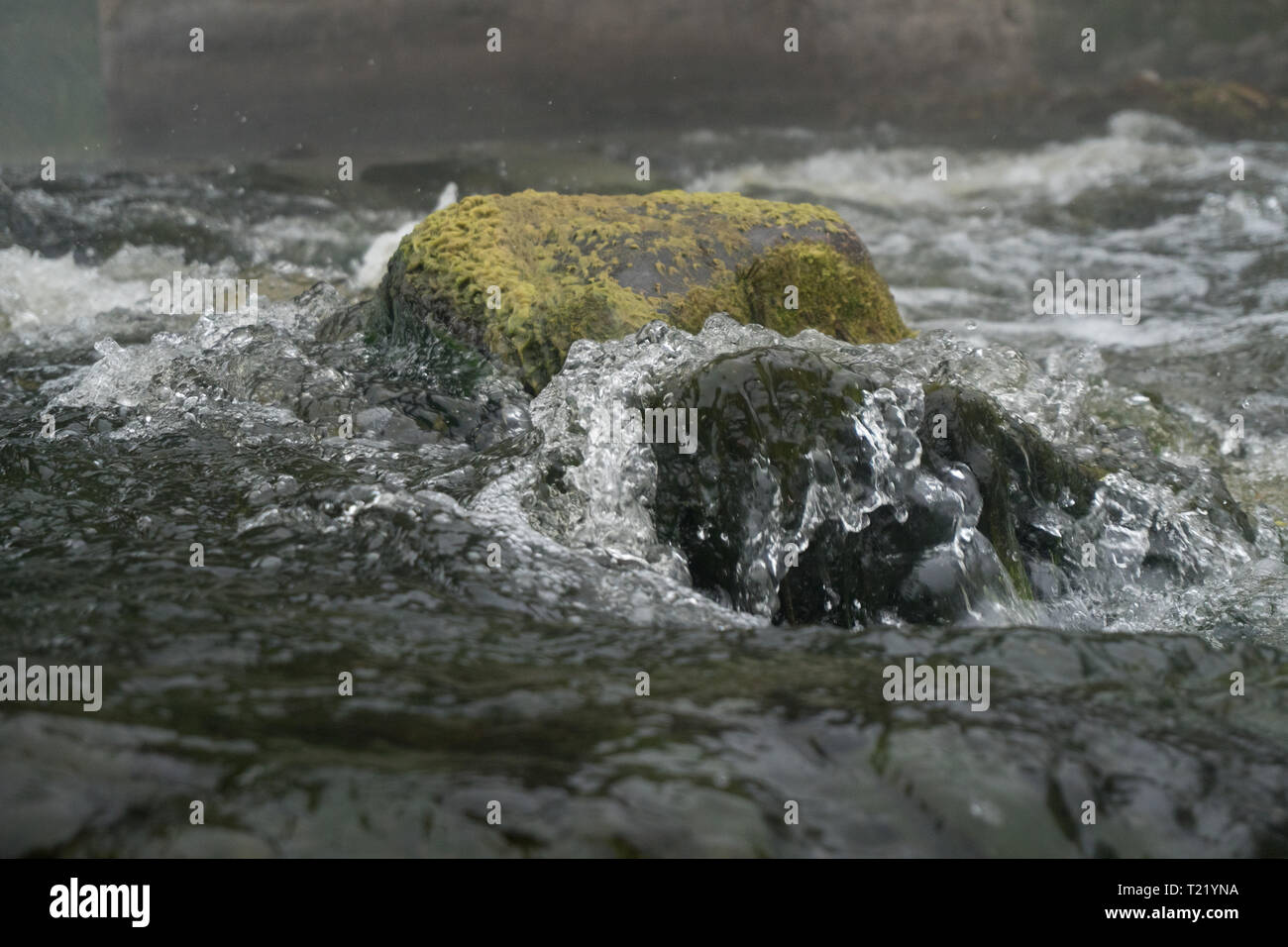Rocks in flowing river water Stock Photo - Alamy