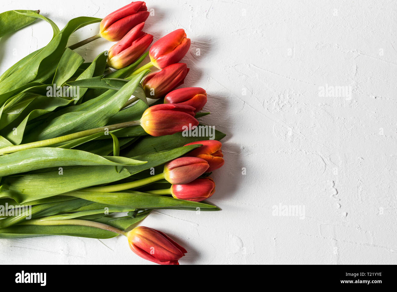 Flat lay of Big bouquet of spring tulip flowers over white background ...