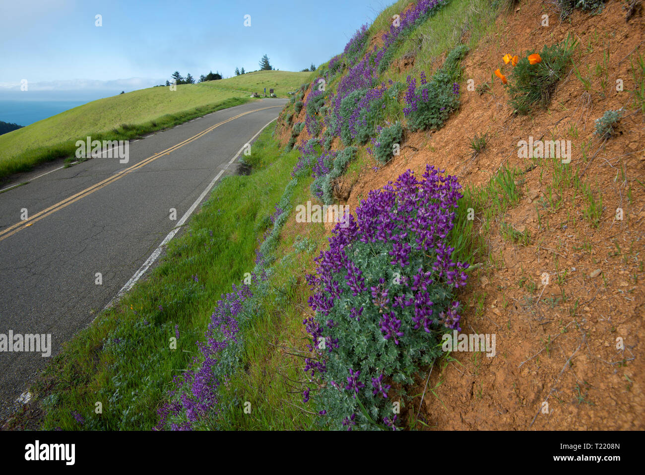 Chert soil hi-res stock photography and images - Alamy