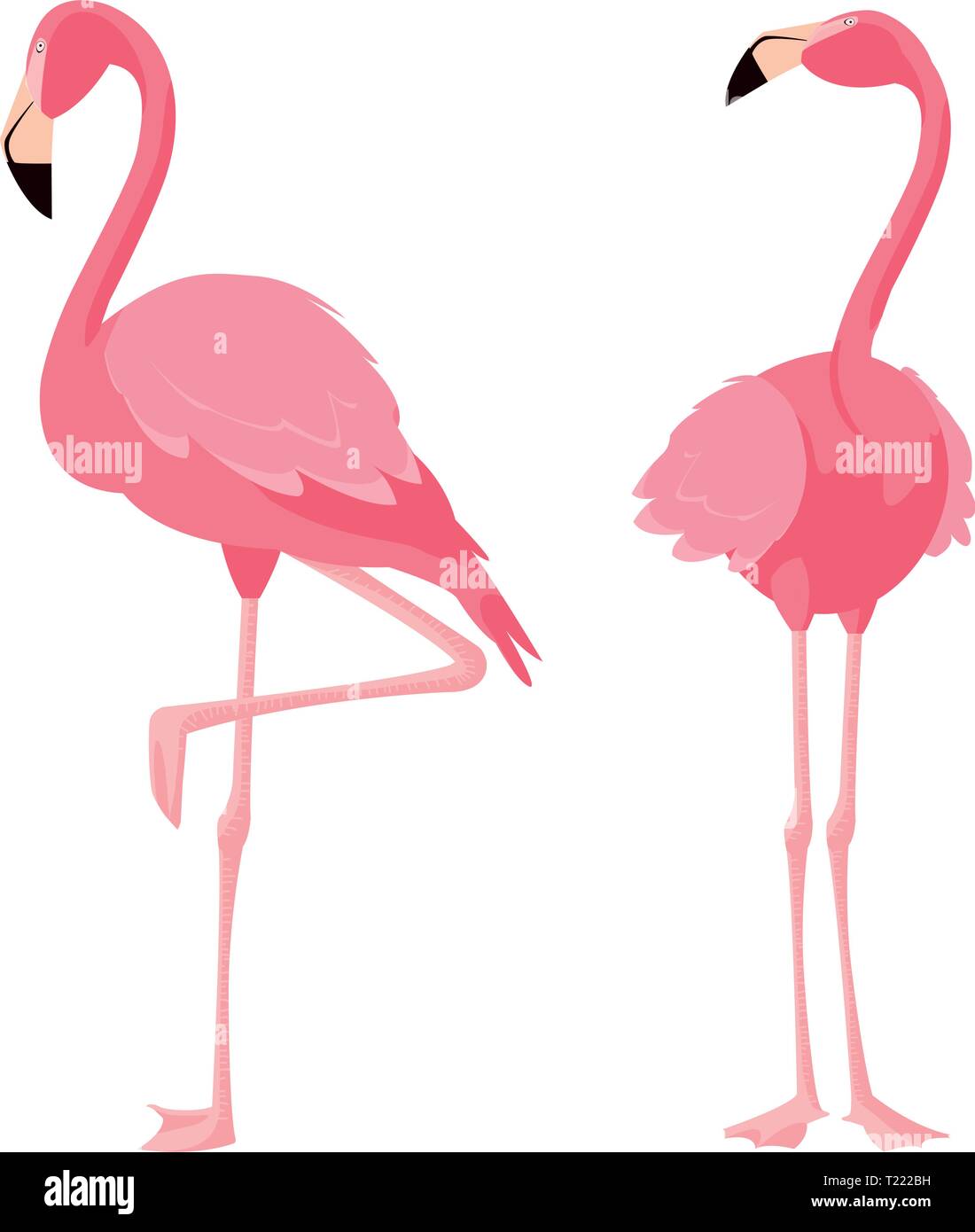 Flamingo pair Cut Out Stock Images & Pictures - Alamy